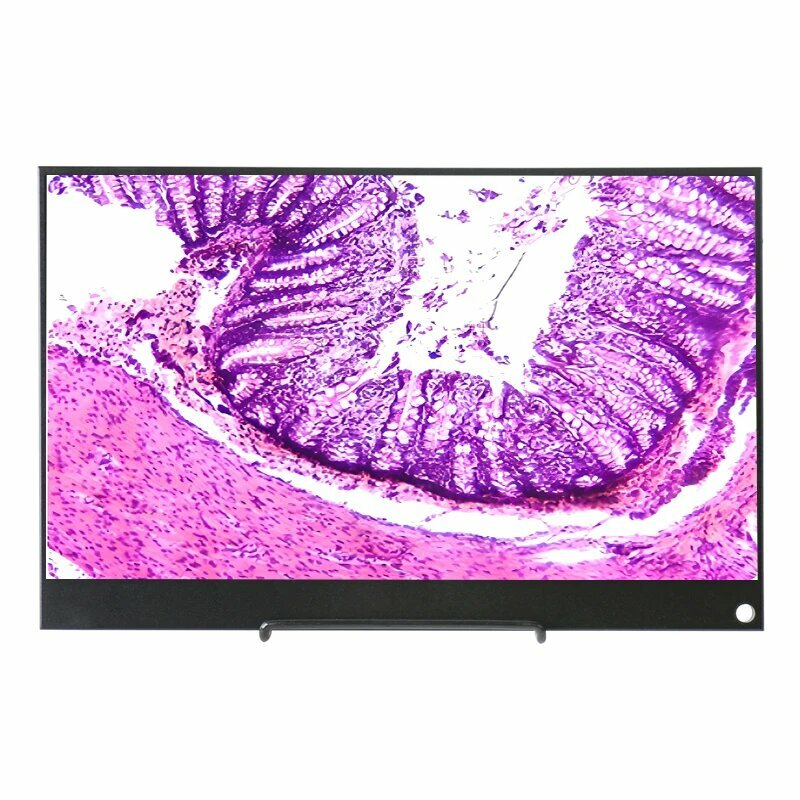 Eakins 15.6 дюймов ЖК-монитор 11.6 inch 1080p