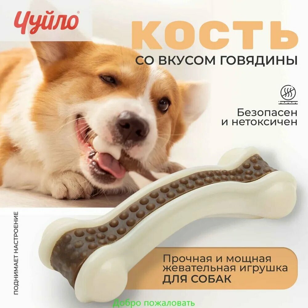 Игрушка для собак жевательная кость с лакомством для мелких, средних и крупных пород, антистресс для улицы и дома, прочная