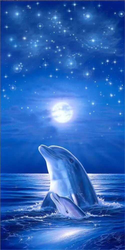 Алмазная Картина "дельфин" 5D Круглый Бриллиант 40х50 См.