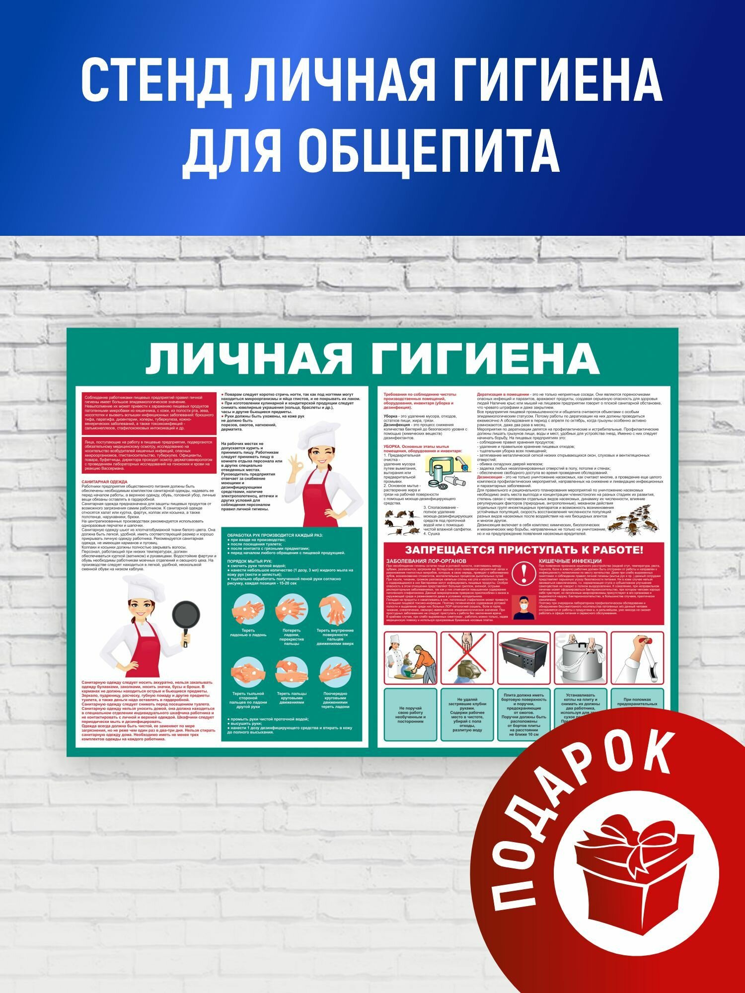 Стенд информационный о здоровье и профилактике заболеваний "Личная гигиена" для общепита, 1000 х 700 мм, Stendplus