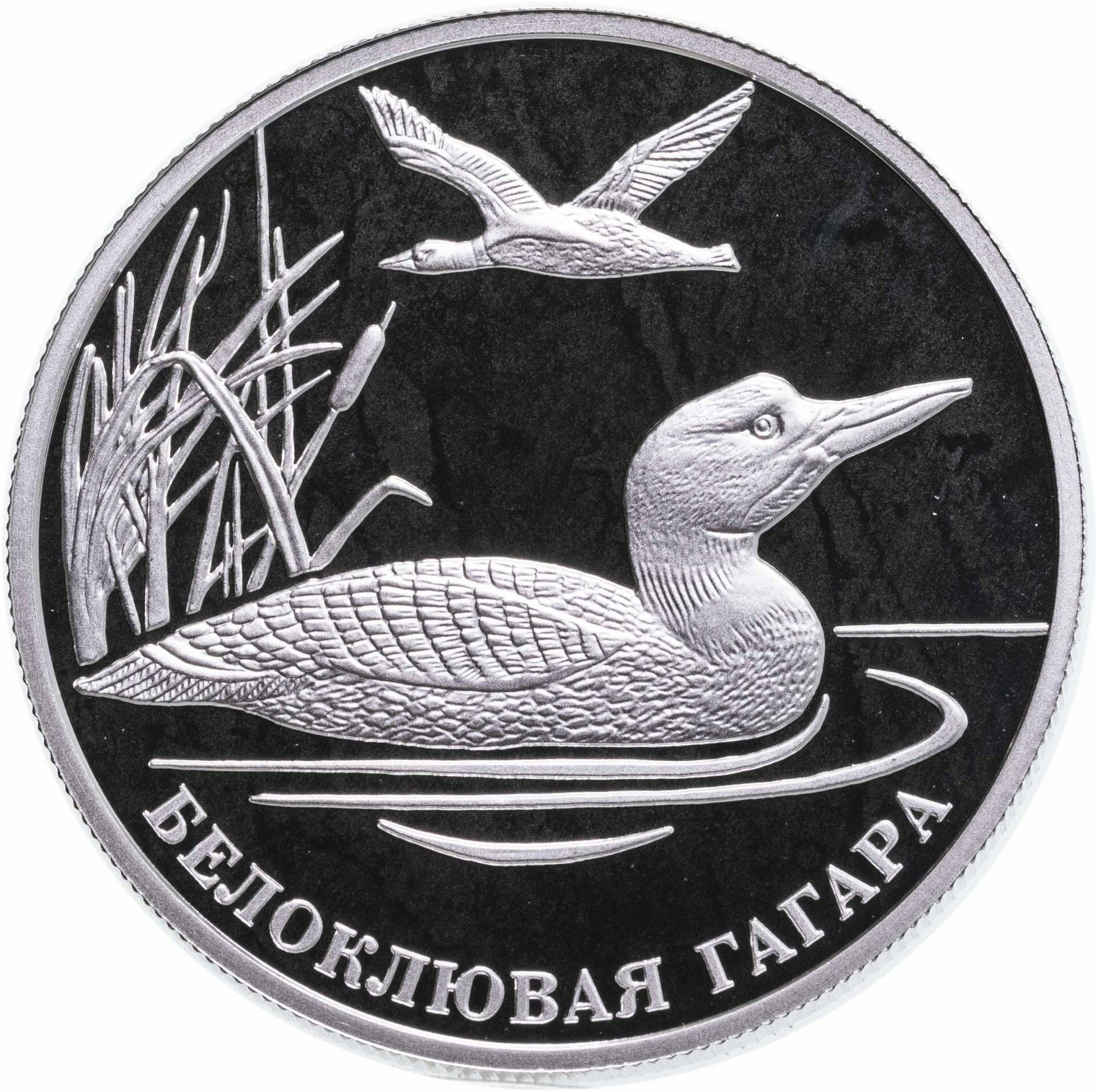 2 рубля 2012 ММД Proof "Белоклювая гагара - красная книга", Серебро 925