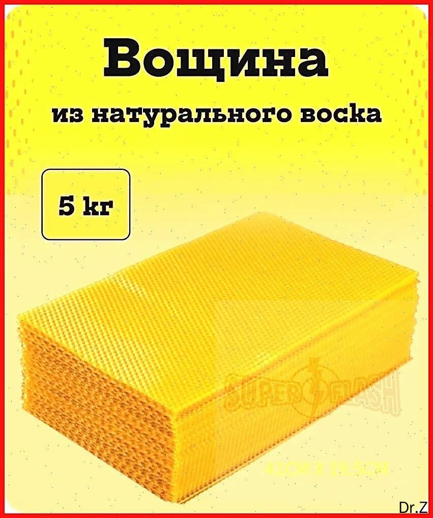 Вощина