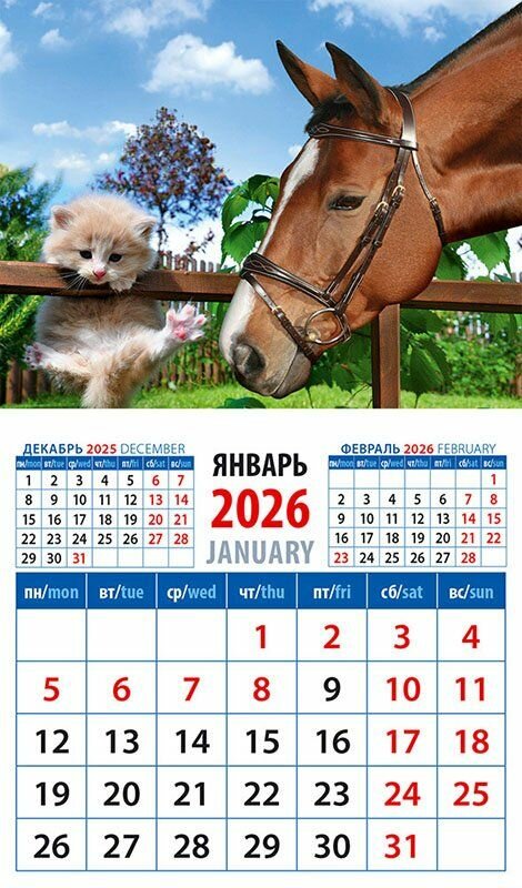 Календарь на 2026 год на магните Давай дружить