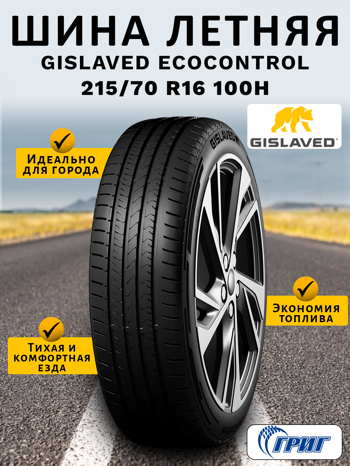 Gislaved EcoControl Шины летние для легкового автомобиля 215/70 R16 100H