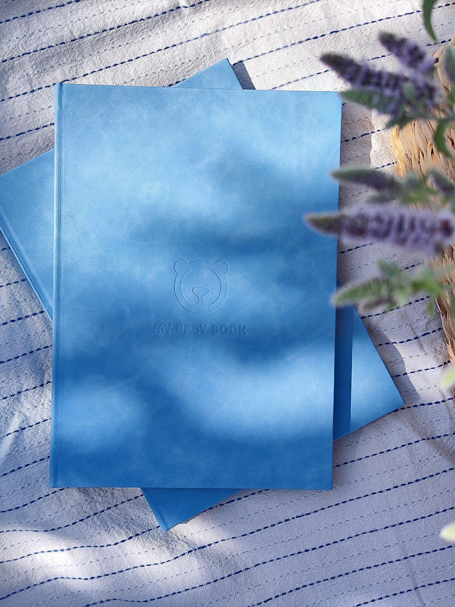 Фотоальбом детский / Первый альбом малыша 0-6 лет MY BABY BOOK, небесный