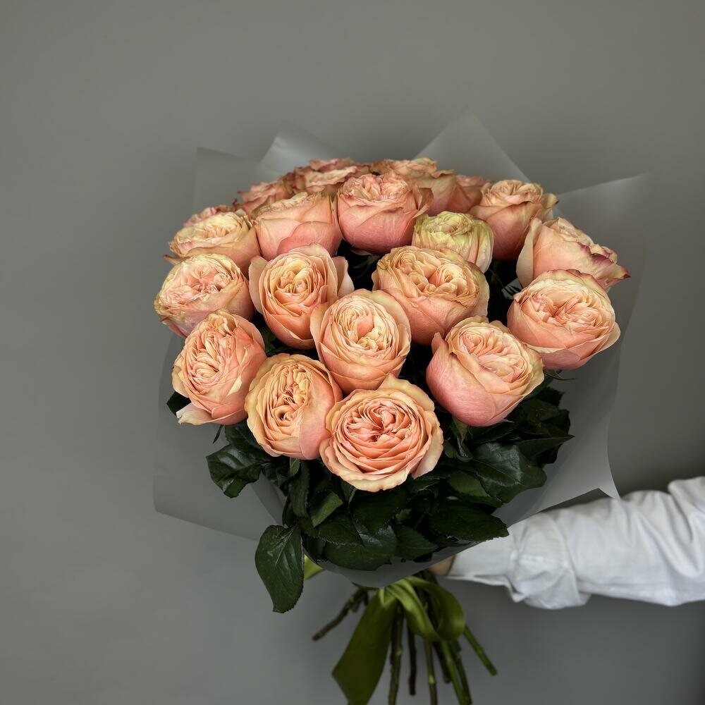 Букет роз из 25 пионовидных роз премиум сорт дэвид остин, высота 50 см