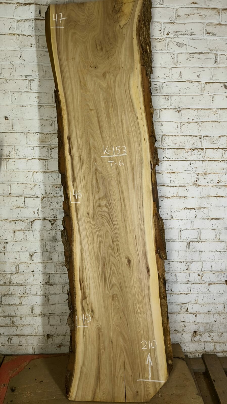 Слэб дерева Карагач К153, высота 210 см, влажность 8-10%, выровнен