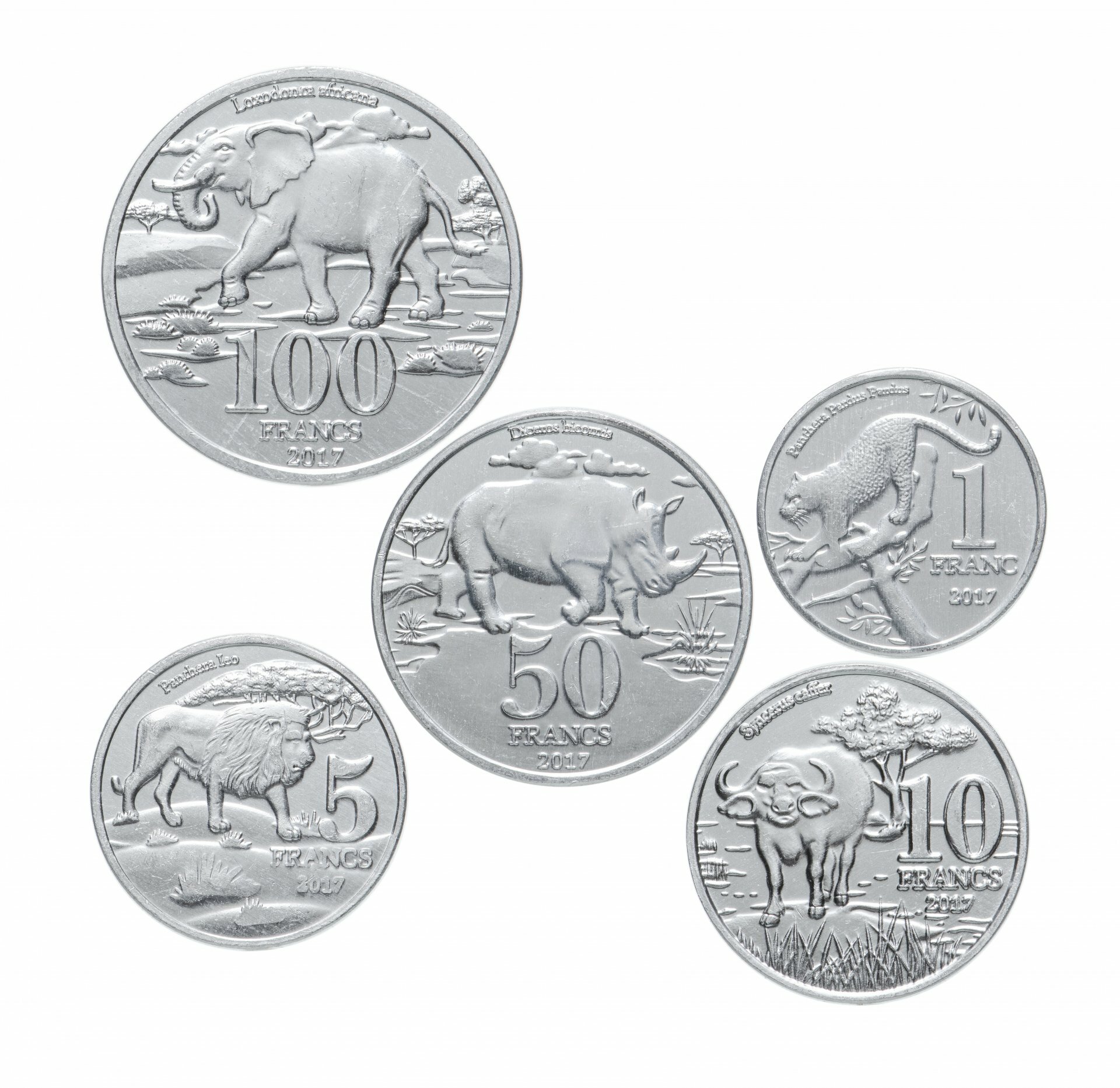 Катанга, набор 5 монетовидных жетонов - 1, 5, 10, 50, 100 франков 2017 года Фауна Африки