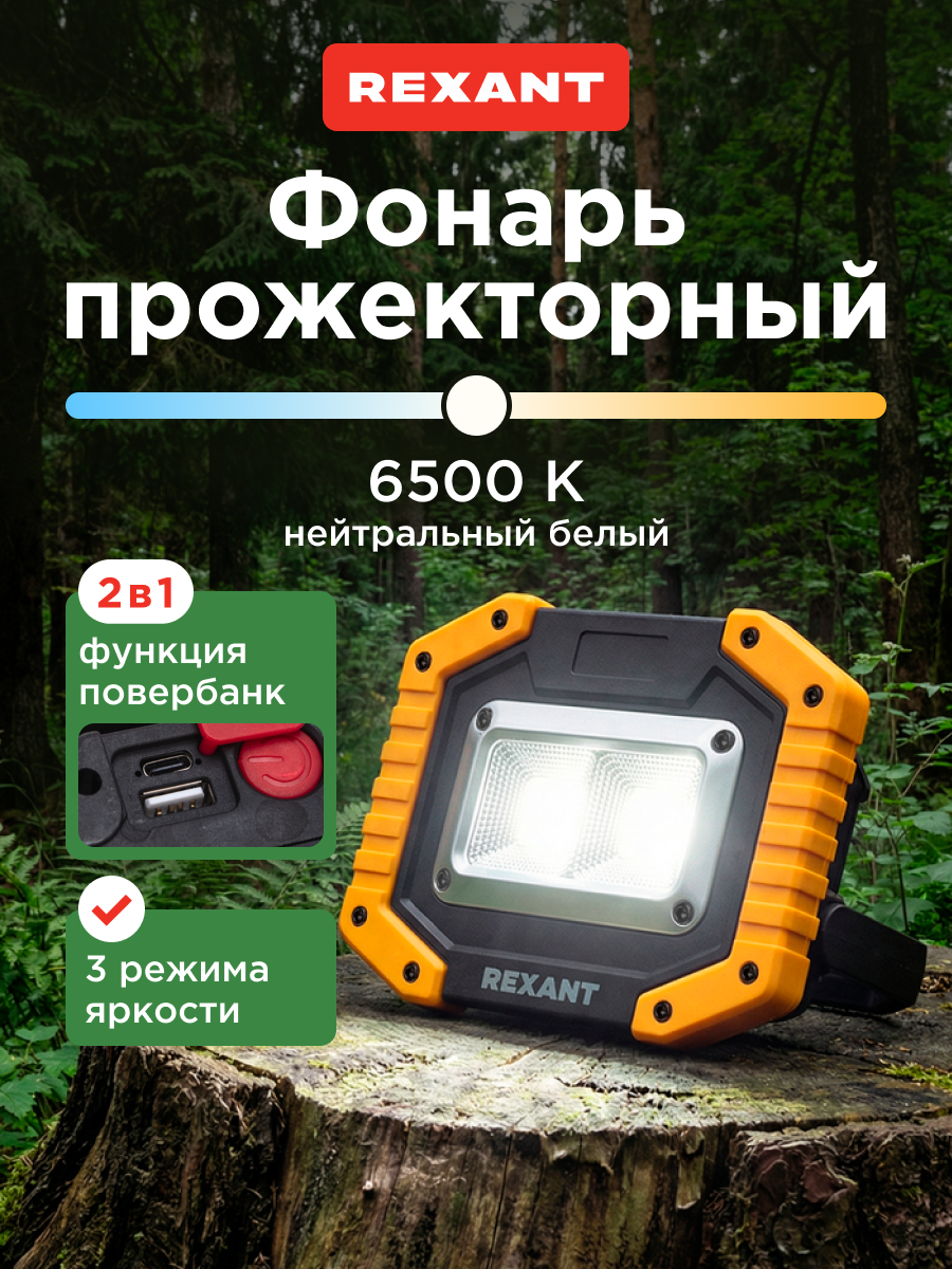 Прожектор аккумуляторный светодиодный 20 Вт противоударный с функцией Power bank 18650х2 REXANT
