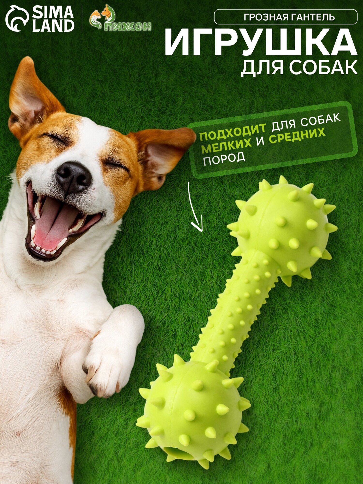 Игрушка жевательная Пижон "Грозная гантель", для собак, термопластичная резина, салатовая