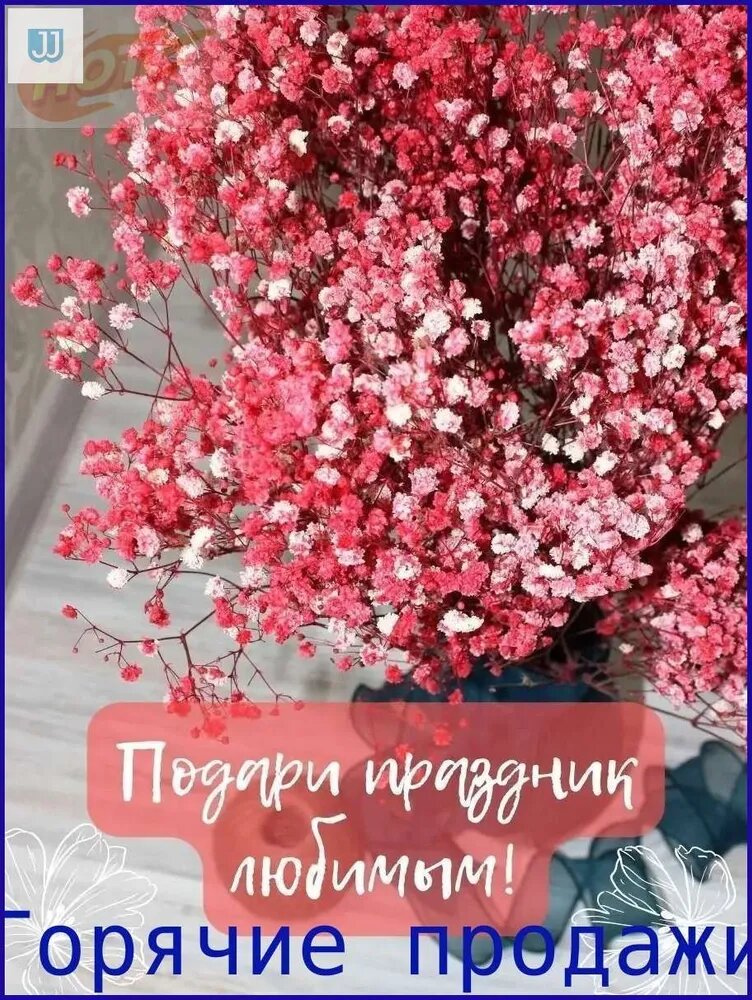 Сухоцветы Гипсофила, 50 см, 50 гр. Декор для дома и праздника. Красный цвет — фото 1