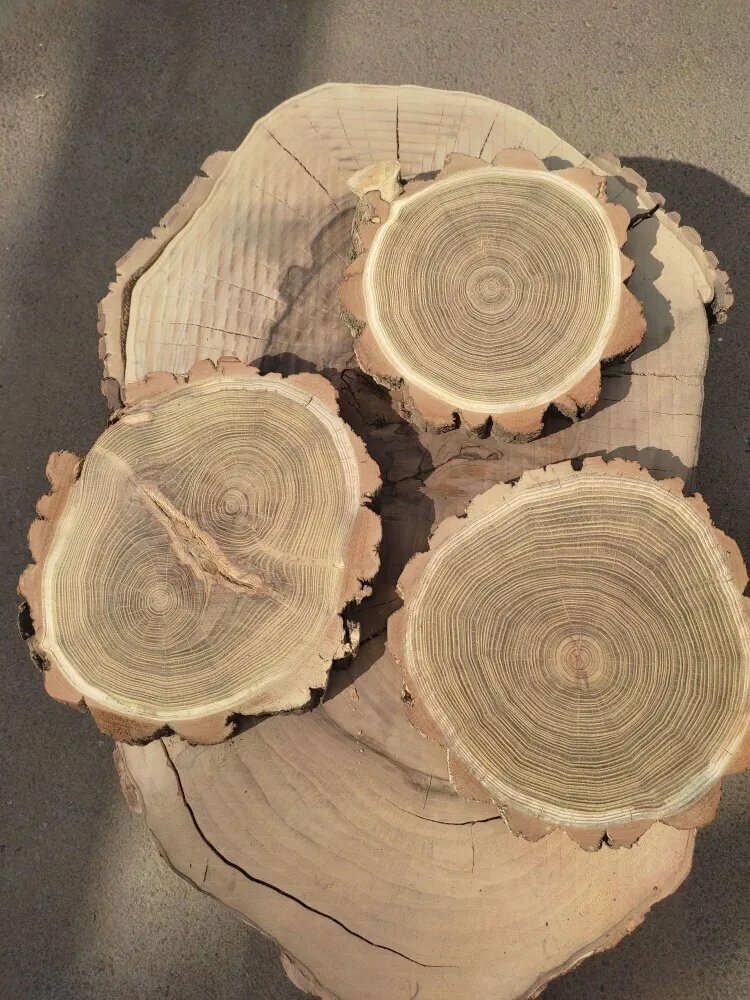 Слэб деревянный