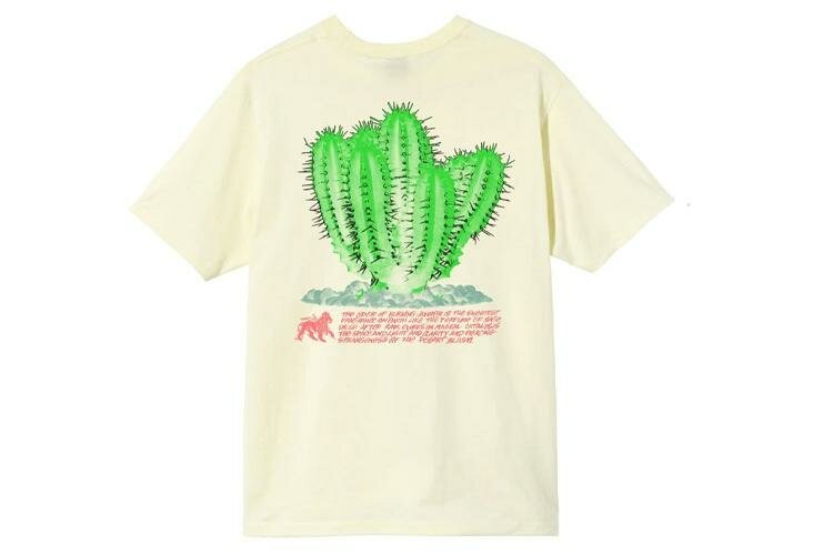 Футболка Stussy Desert Bloom