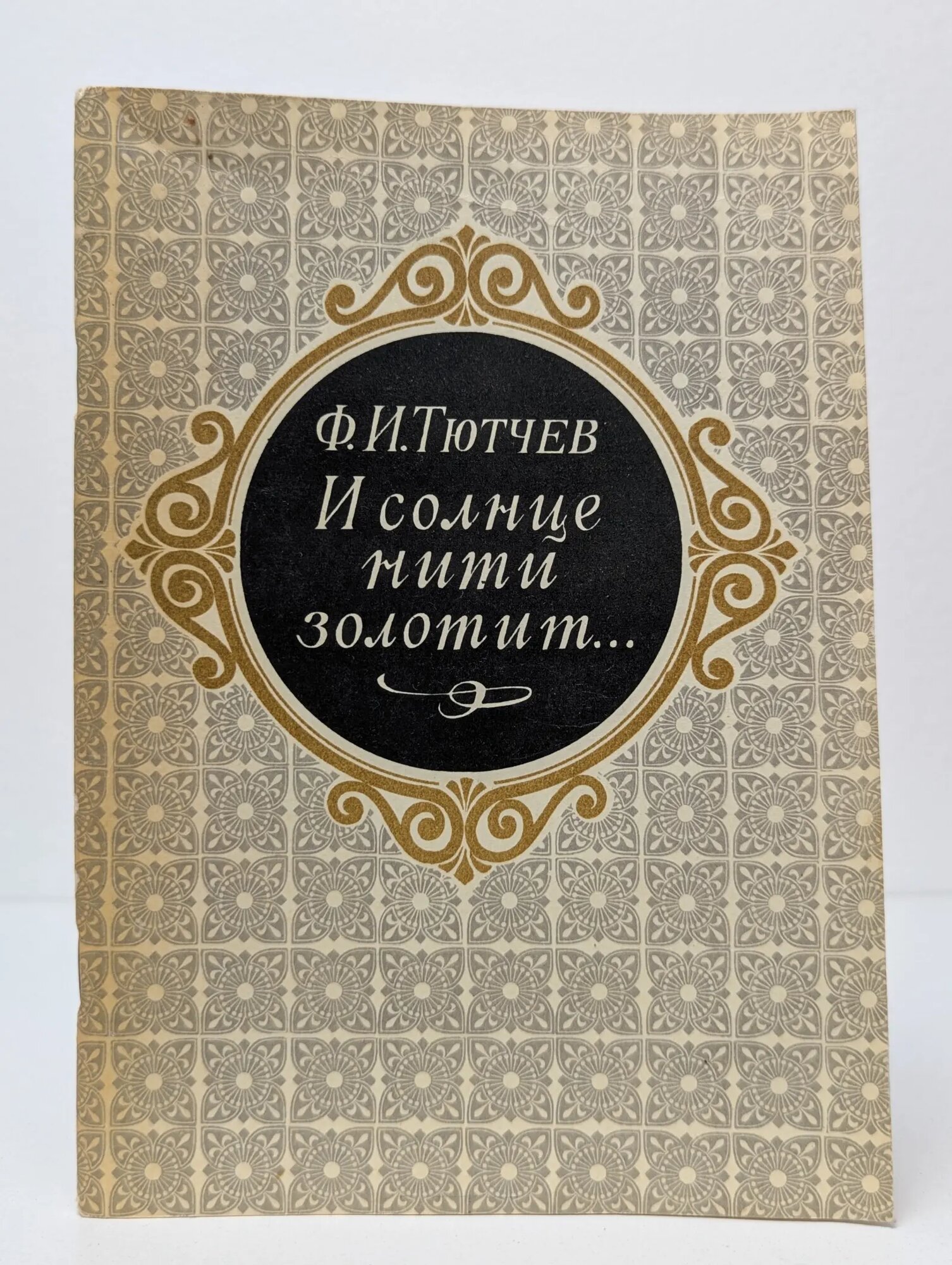 И солнце нити золотит. Тютчев Фёдор Иванович 1978
