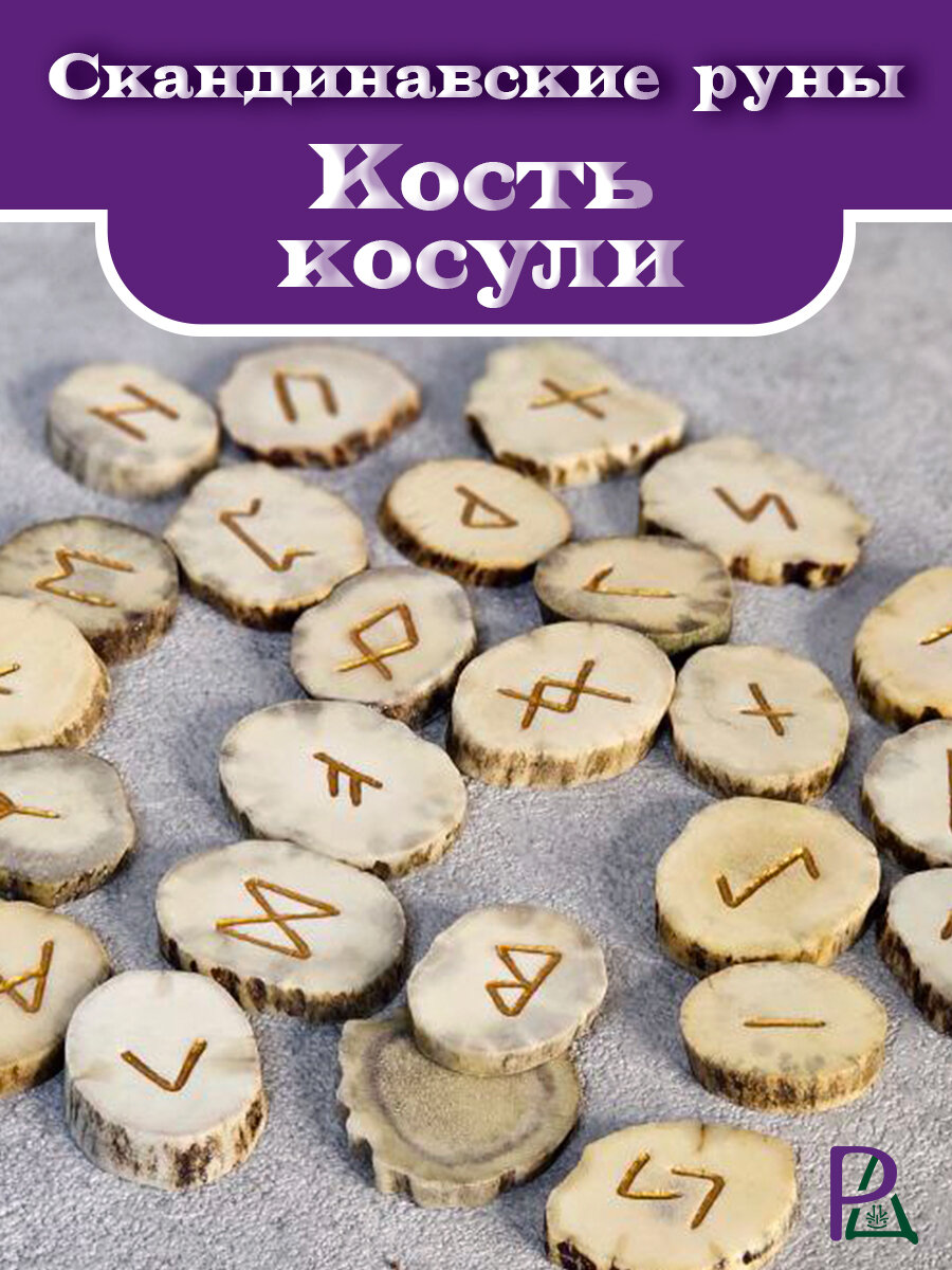 Скандинавские руны на кости косули (ручная уникальная работа) 25шт + инструкция