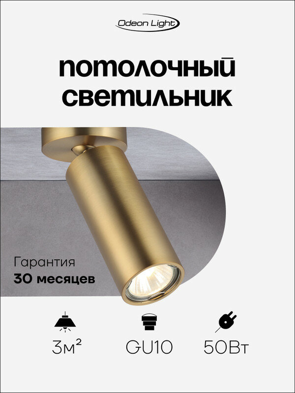 Потолочный накладной светильник ODEON LIGHT NINO 4279/1C GU10 50W золотой
