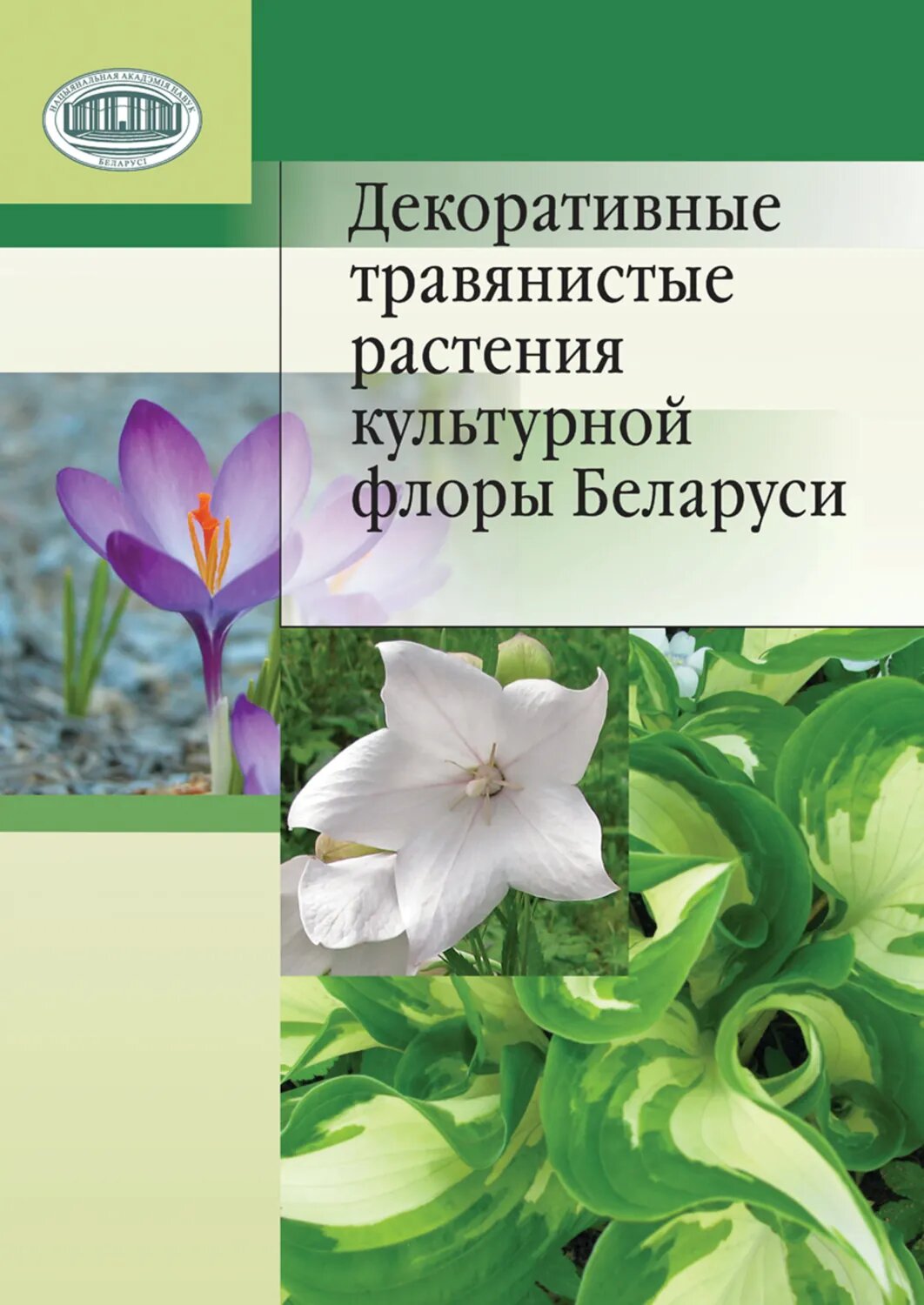 Декоративные травянистые растения культурной флоры Беларуси [Цифровая книга]