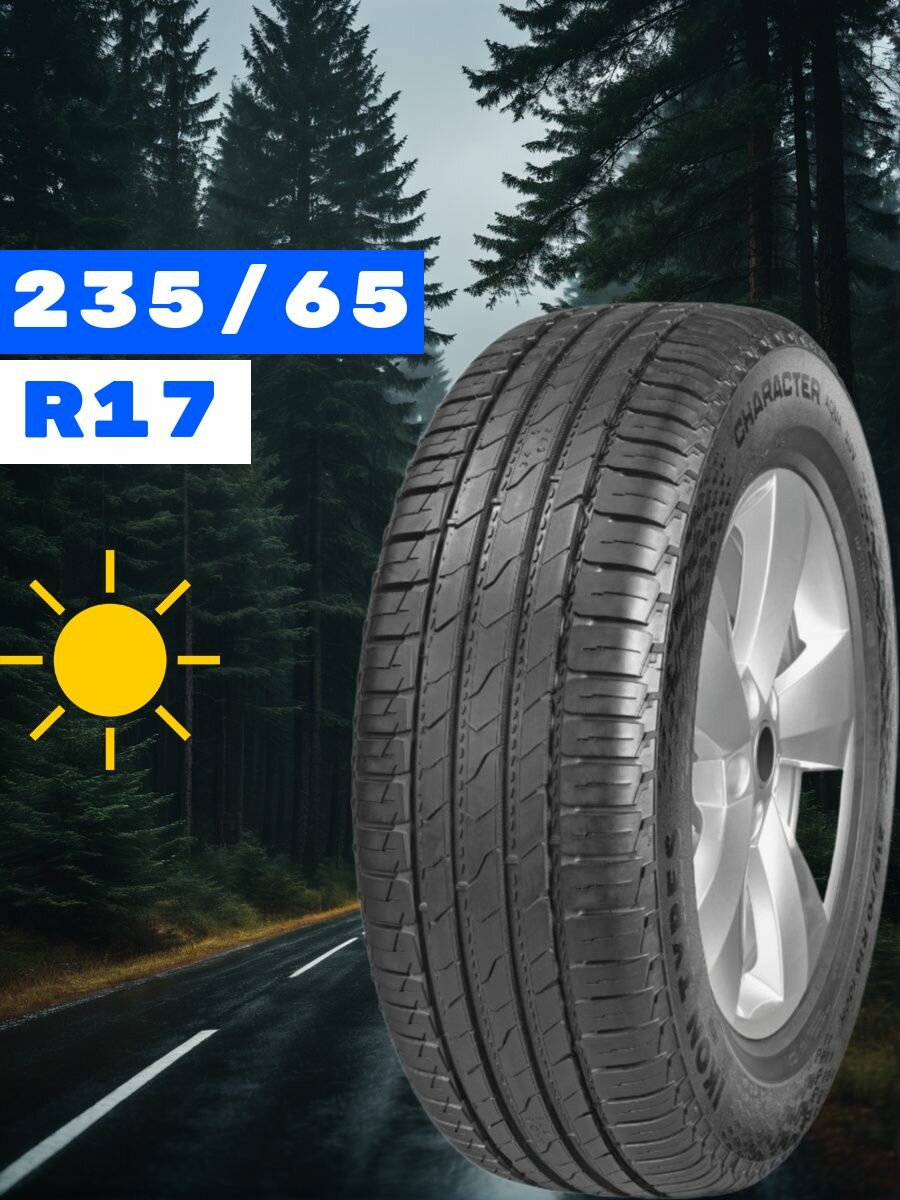 Автошина 235/65R17 104H Character Aqua SUV (NORDMAN S2 SUV) IKON TBL