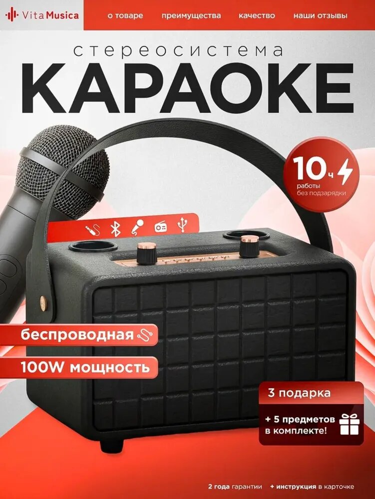 Караоке система Vita Musica с двумя беспроводными микрофонами