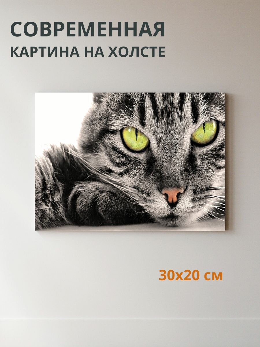 Картина на холсте Серый кот с желтыми глазами 30x20 см