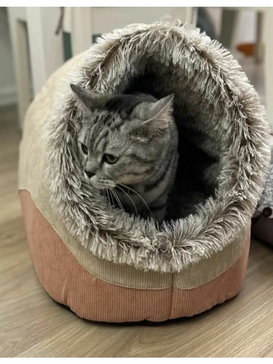 Домик для кошек и собак