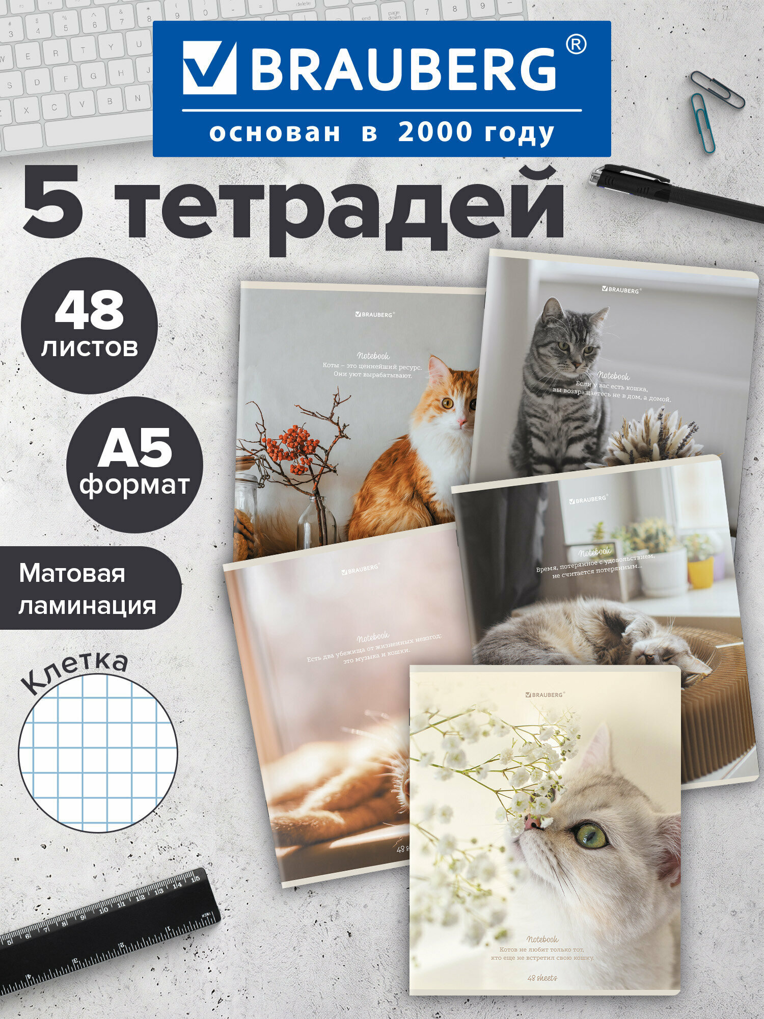Тетрадь 48 листов в клетку для школы и записей набор 5 штук А5 Brauberg, скоба, клетка, матовая ламинация, Cats, 404673