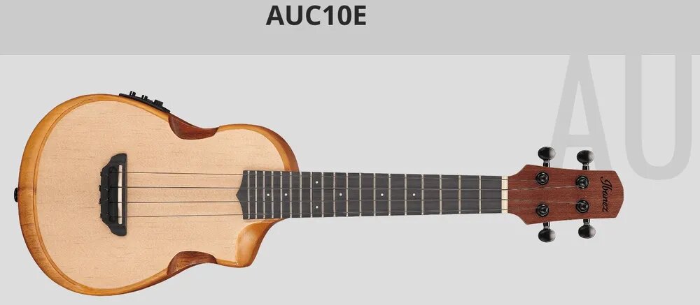Акустическая гитара IBANEZ Guitar