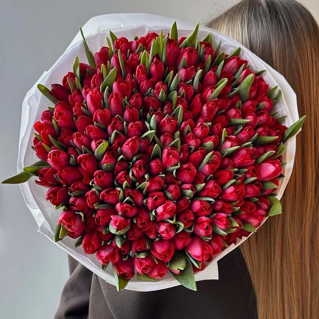 Букет из красных тюльпанов 101 шт, красивый букет цветов, шикарный, премиум цветы, премиум букет