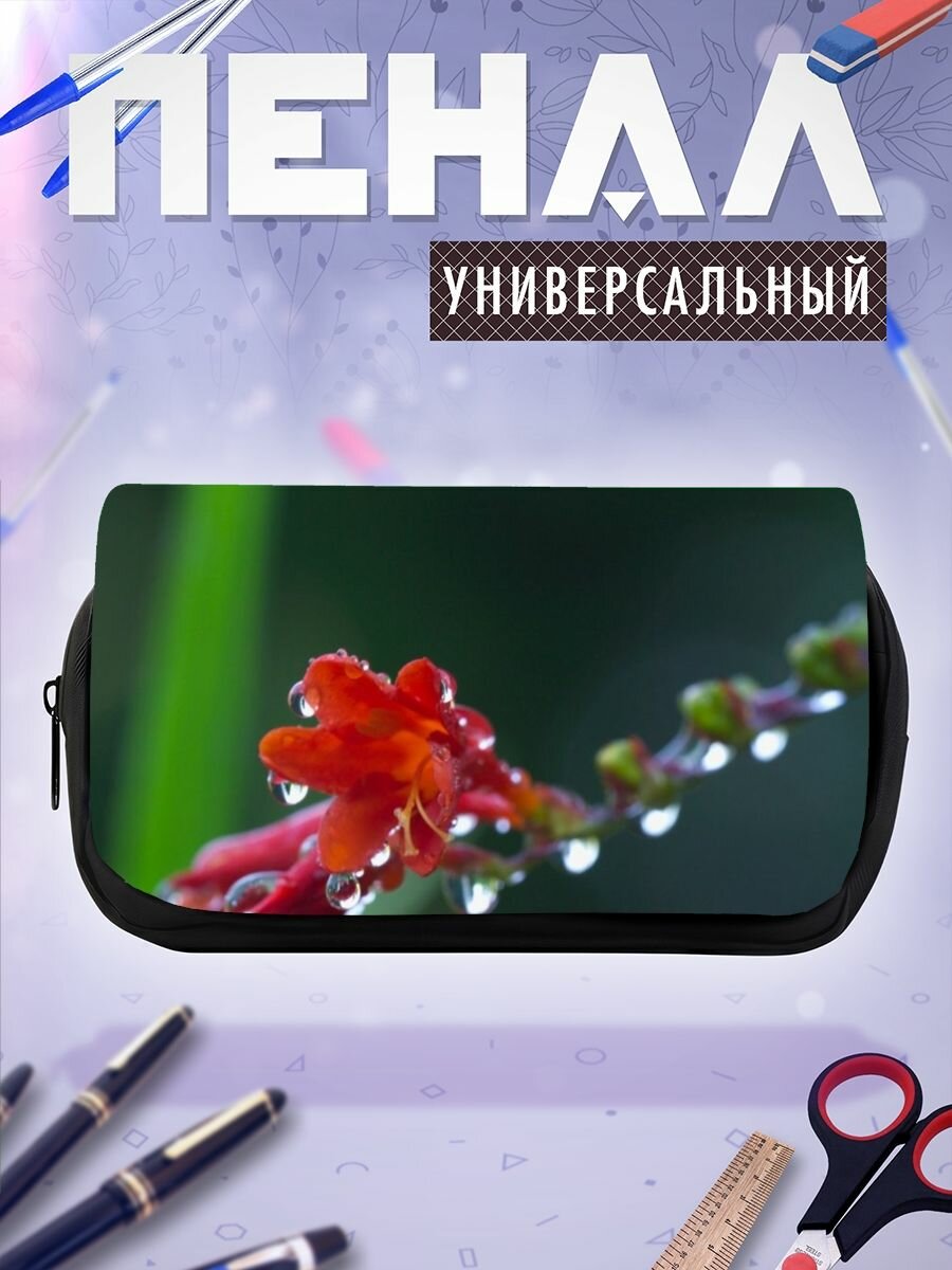 Школьный пенал вода красный цвет