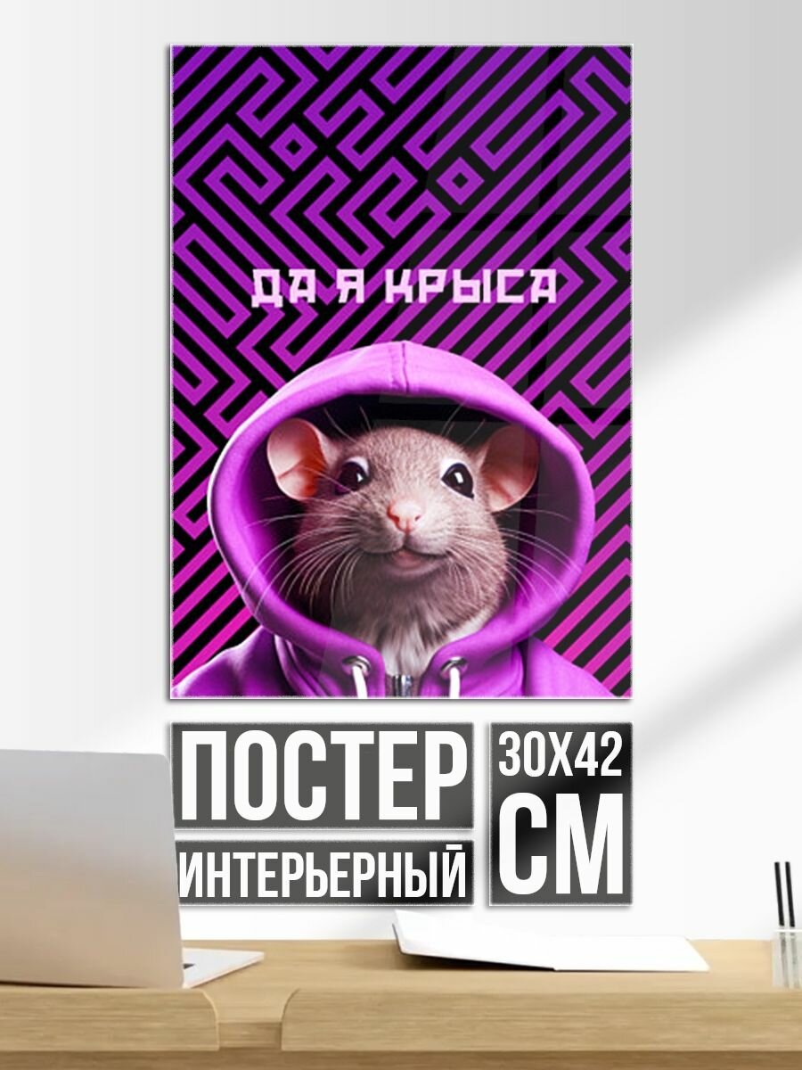 Постер на стену Крыса в толстовке - да я крыса