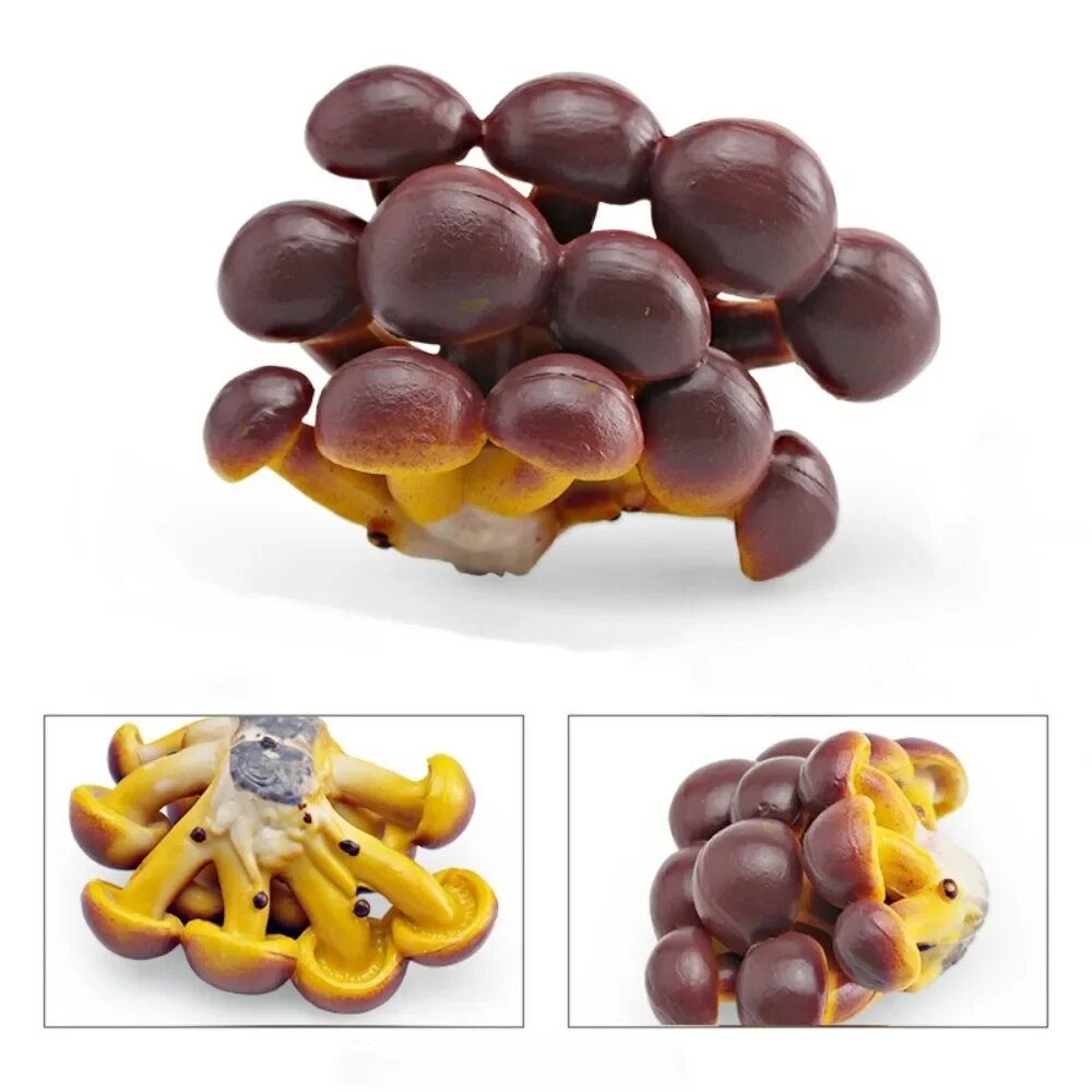 Фигурки грибов из ПВХ Pholiota