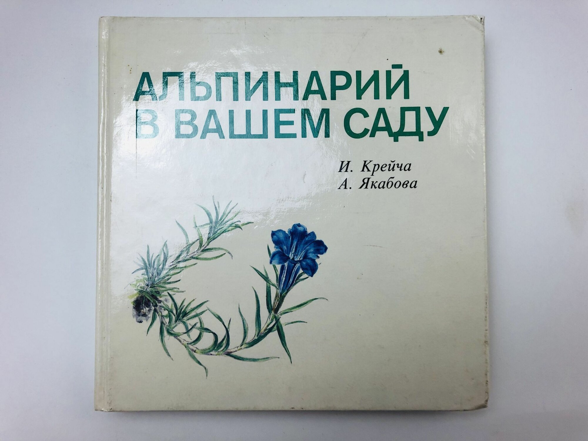 Альпинарий в вашем саду