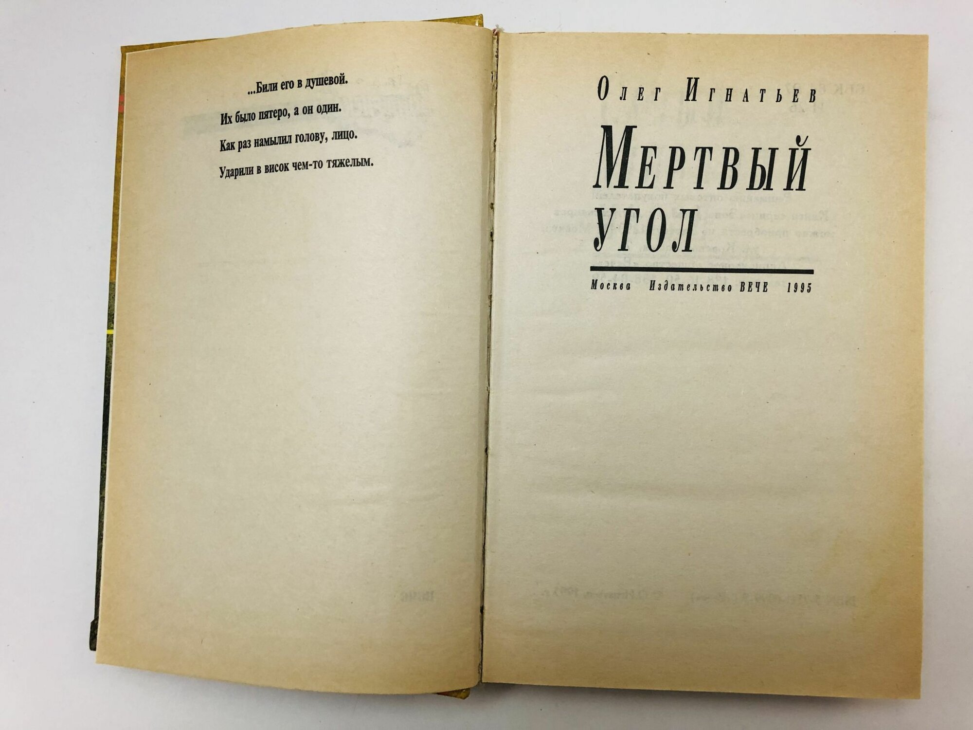 Мертвый угол — фото 1