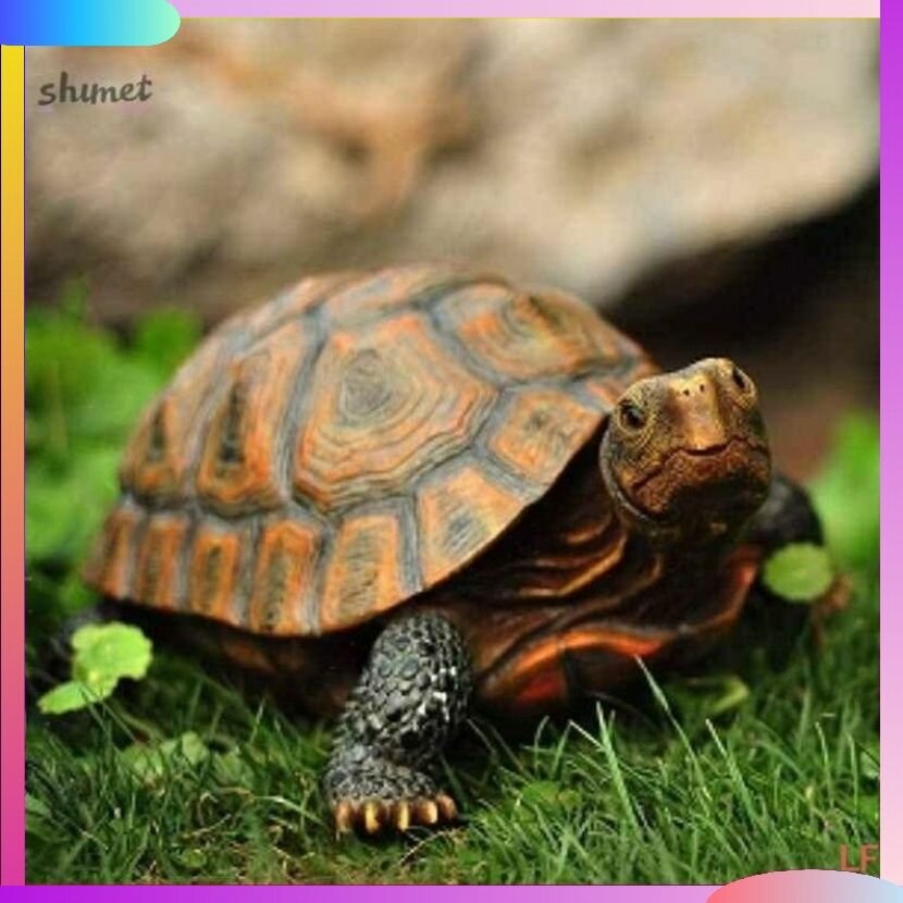 Эксклюзивное украшение садового ландшафта