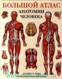 Книга "Большой атлас анатомии человека"