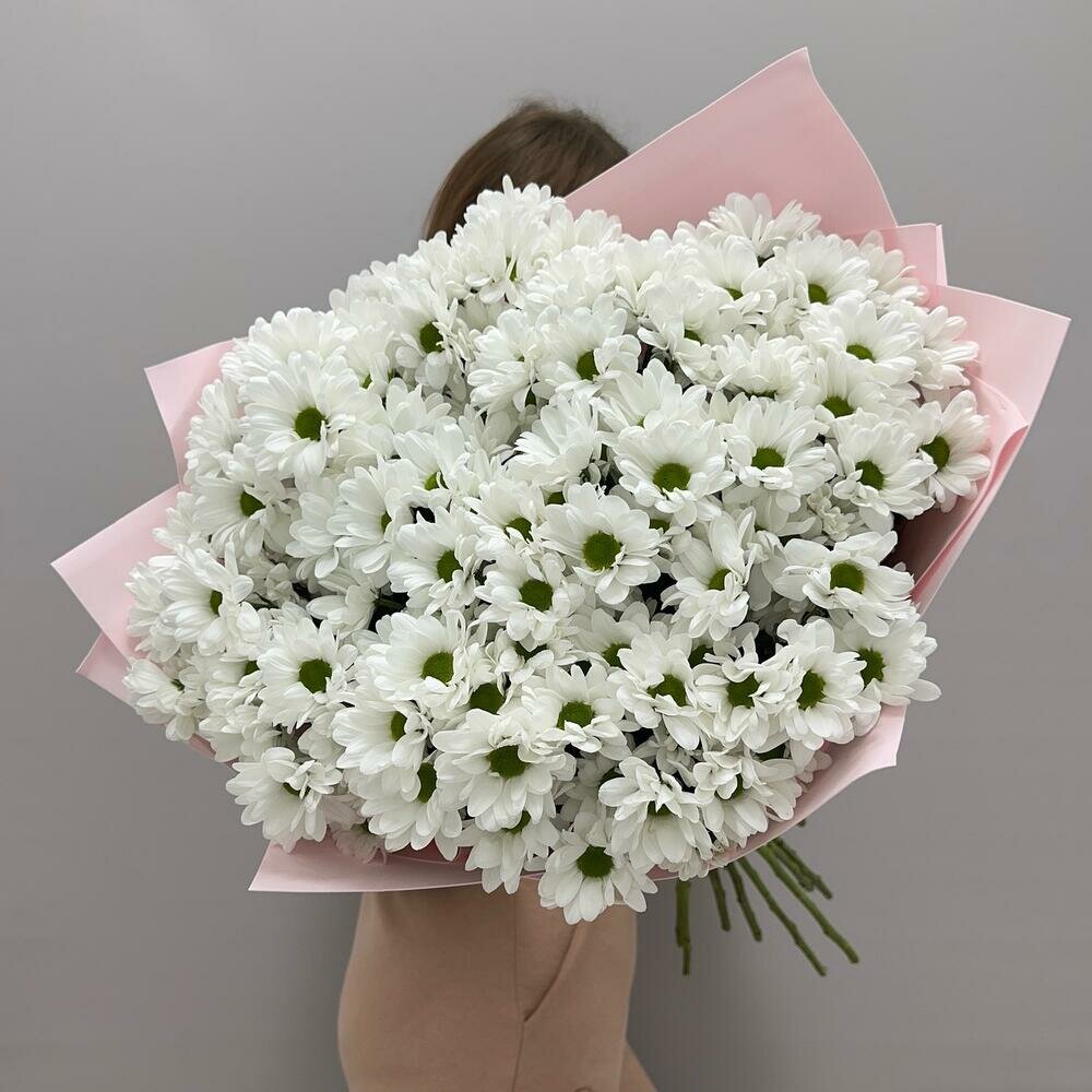 Монобукет Boom Bouquet из 15 Хризантем "Бакарди Вайт", оформленный в фоамиран, высота 60см — фото 1
