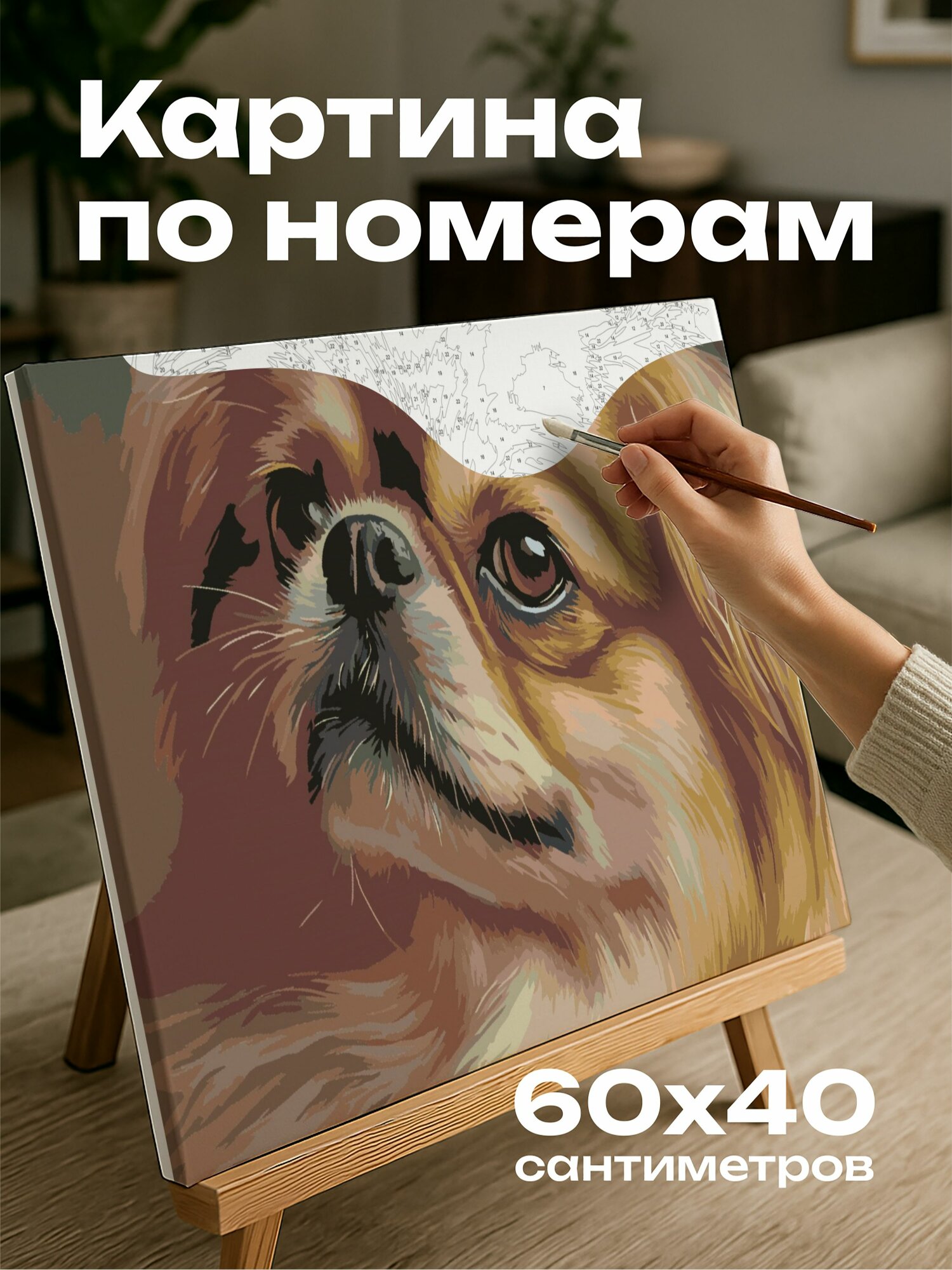Картина по номерам 60x40 см, портрет, пекинес, золотистая цветовая гамма, текстура меха, игра света, шерсть