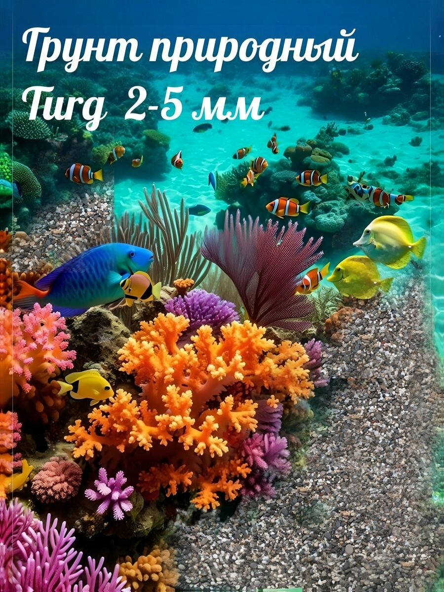 Натуральный природный грунт для аквариумистики, террариумистике, флористике.