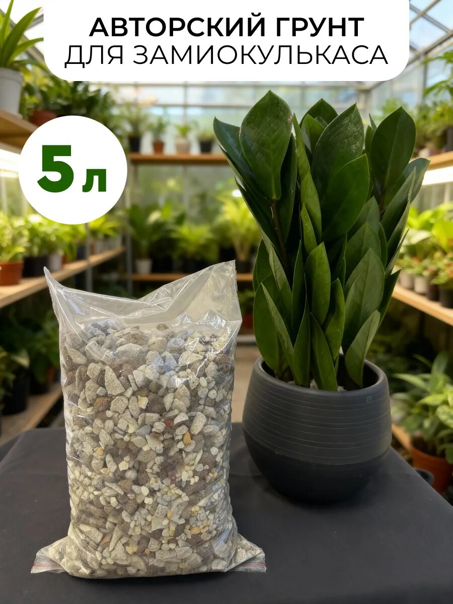 Авторский профессиональный грунт для замиокулькасов 5 литров от Sinitsa_Leaf