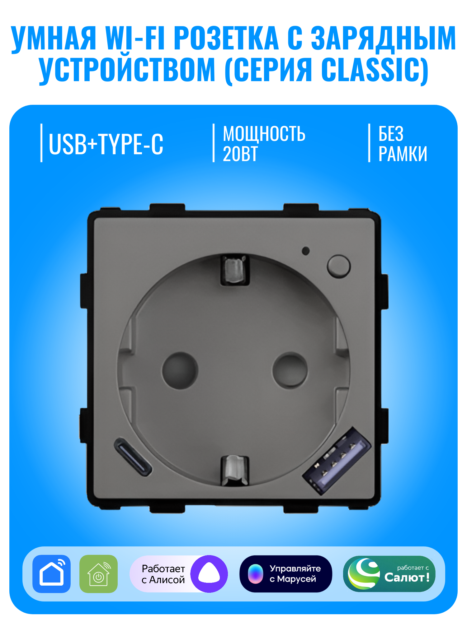 Умная Wi-Fi розетка с зарядным устройством USB и Type-C Smart Aura серия Classic без рамки