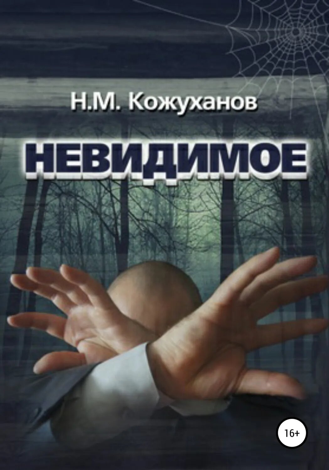 Невидимое [Цифровая книга]