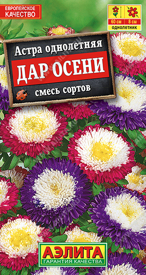 Семена Астры аэлита "Дар осени", помпонные, однолетние, высота 60см