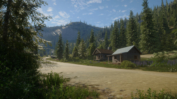 TheHunter: Call of the Wild - Master Hunter Набор PC Steam Аккаунт