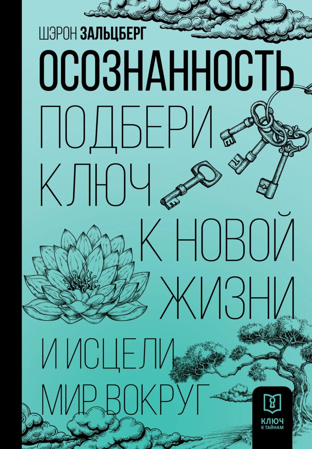 Осознанность. Подбери ключ к новой жизни и исцели мир вокруг [Цифровая книга]