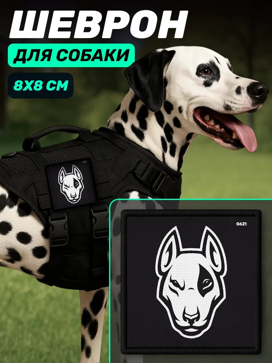 Шеврон на липучке для собак Бультерьер