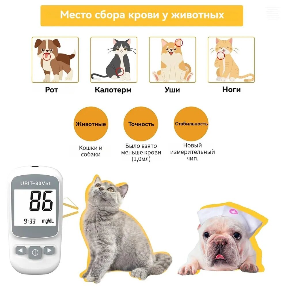 Инструмент ветеринарный Глюкометр URIT-80Vet для животных, Для собак, Для кошек, Китай — фото 1