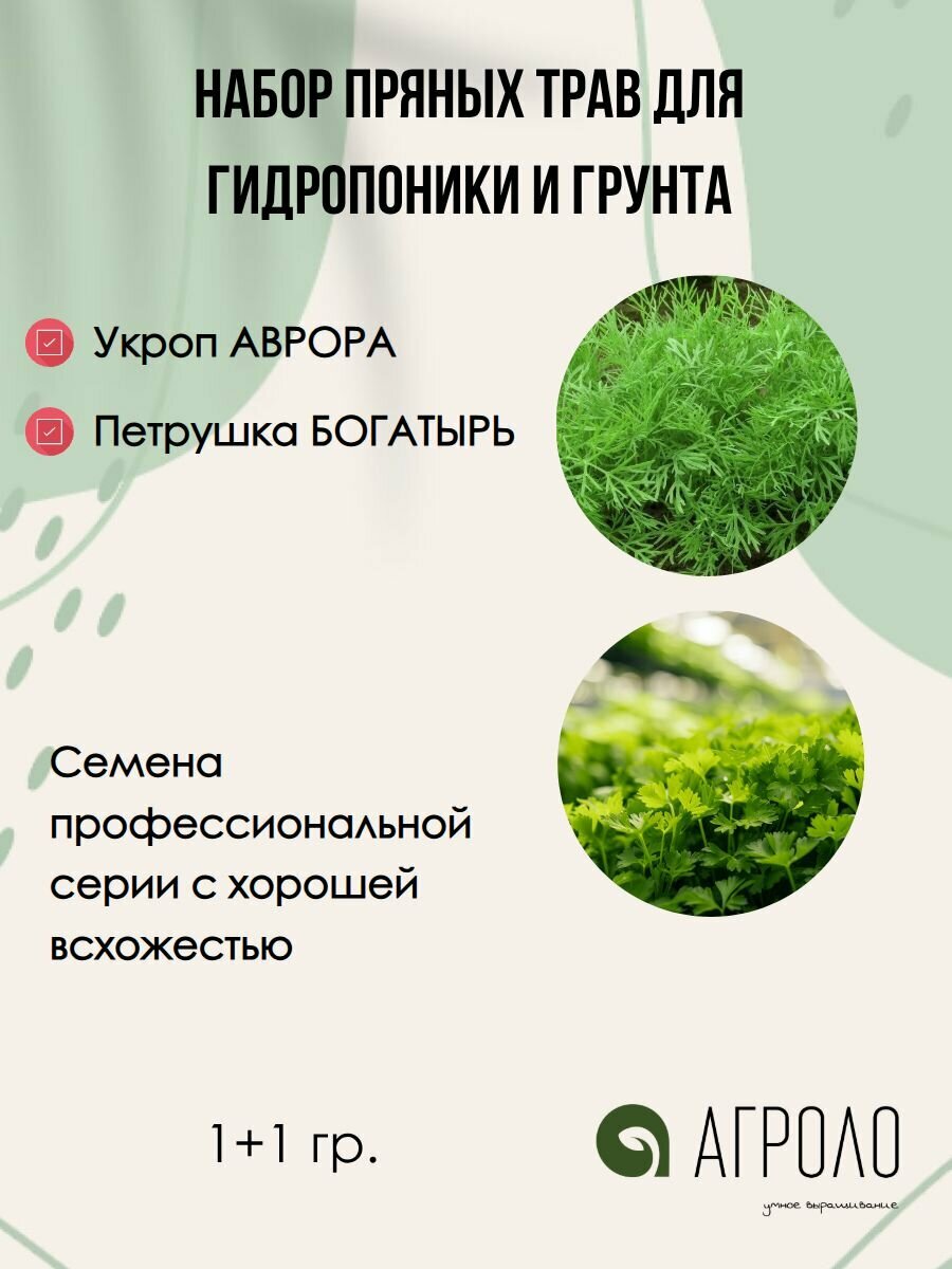 Набор семян Пряный для гидропоники: Укроп и Петрушка