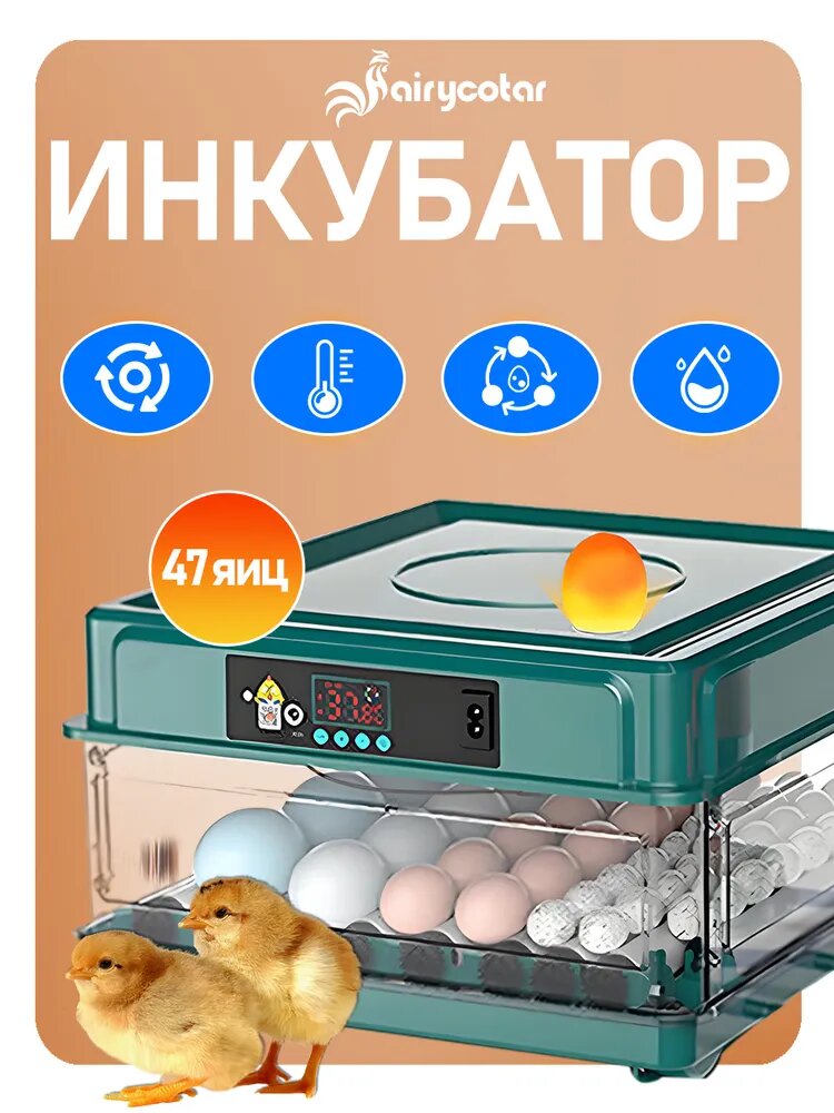 Инкубатор для яиц автоматический на 42 яйца 220B/12B, зеленый В комплект входит инструкция на русском языке гигрометр