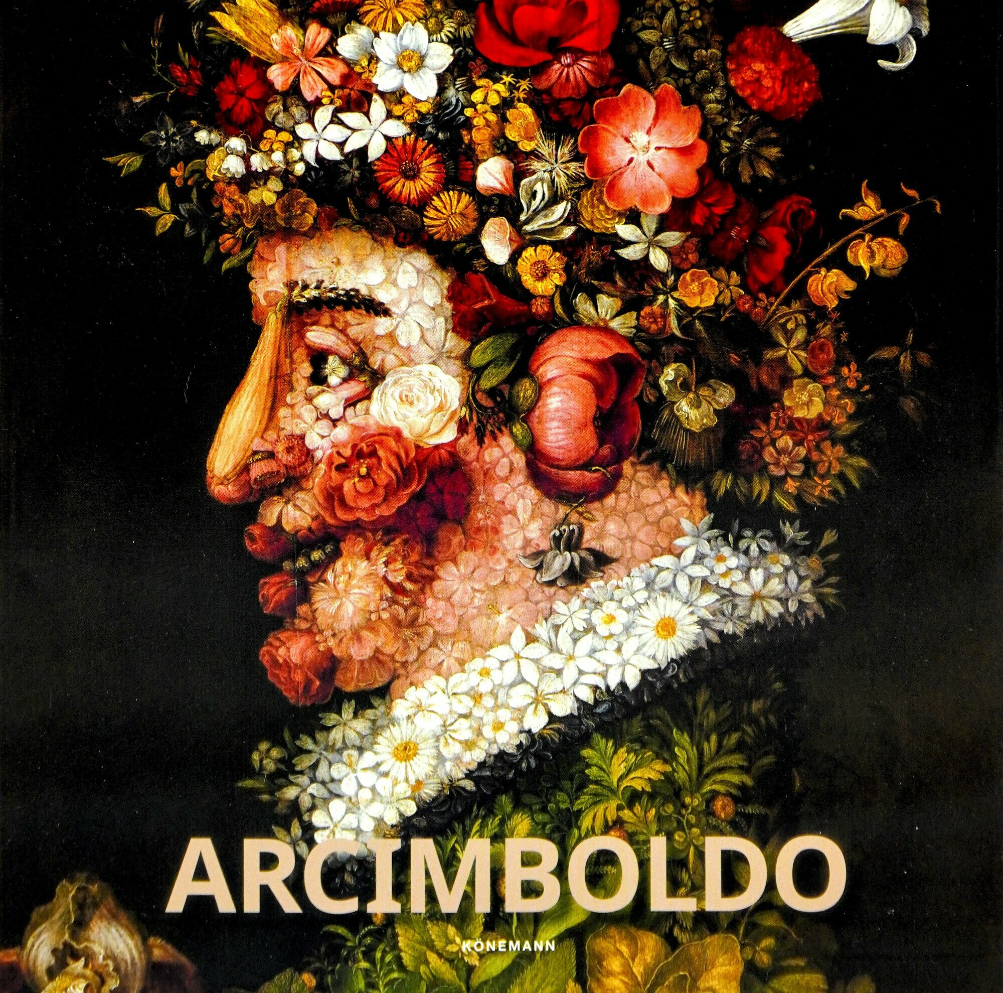 Arcimboldo / Жизнь и творчество художника-фантаста эпохи Возрождения. Репродукции, эскизы, искусствоведческий анализ.