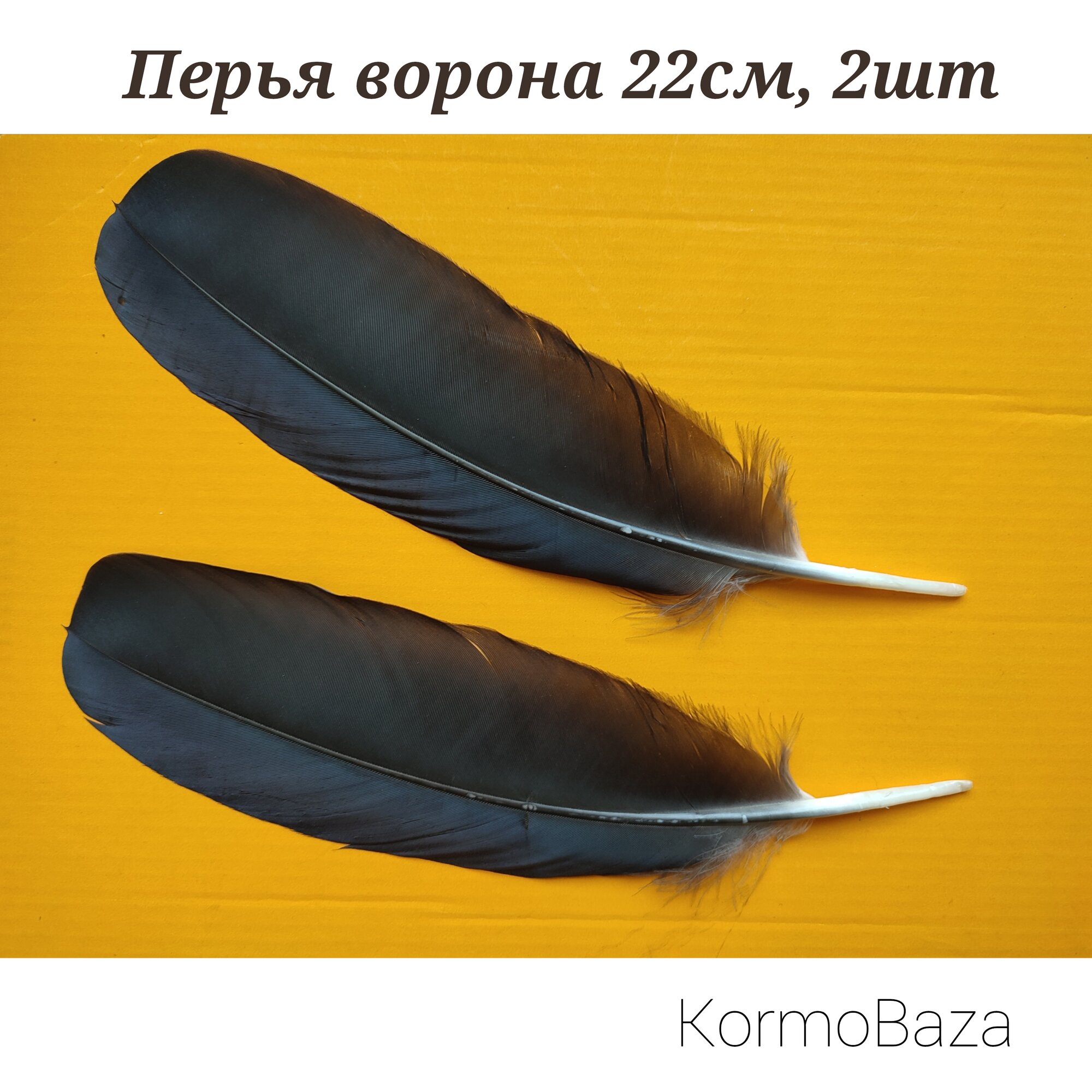 Перо ворона, 2шт. Натуральные перья